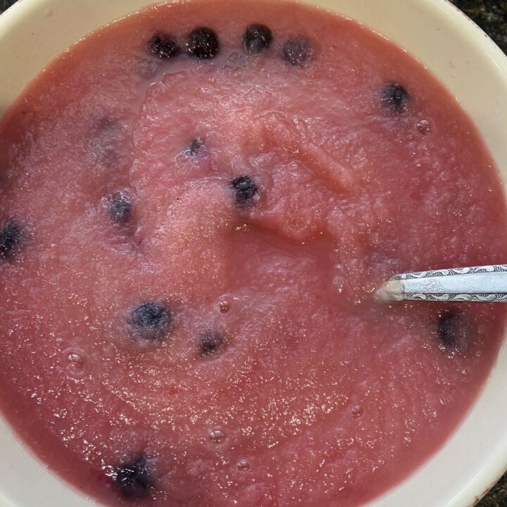 Blueberry Applesauce - Baking With Mom
